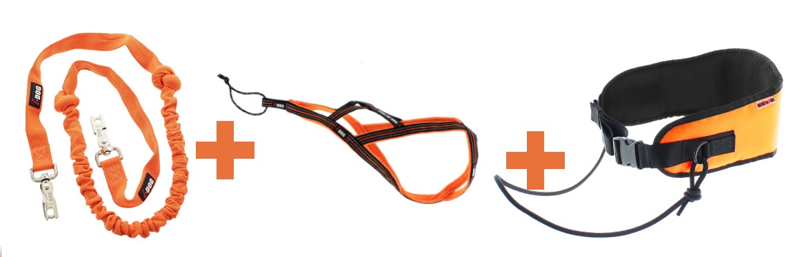 One - Kit Complet Canicross Compétition & Pratique intensive taille XS ...